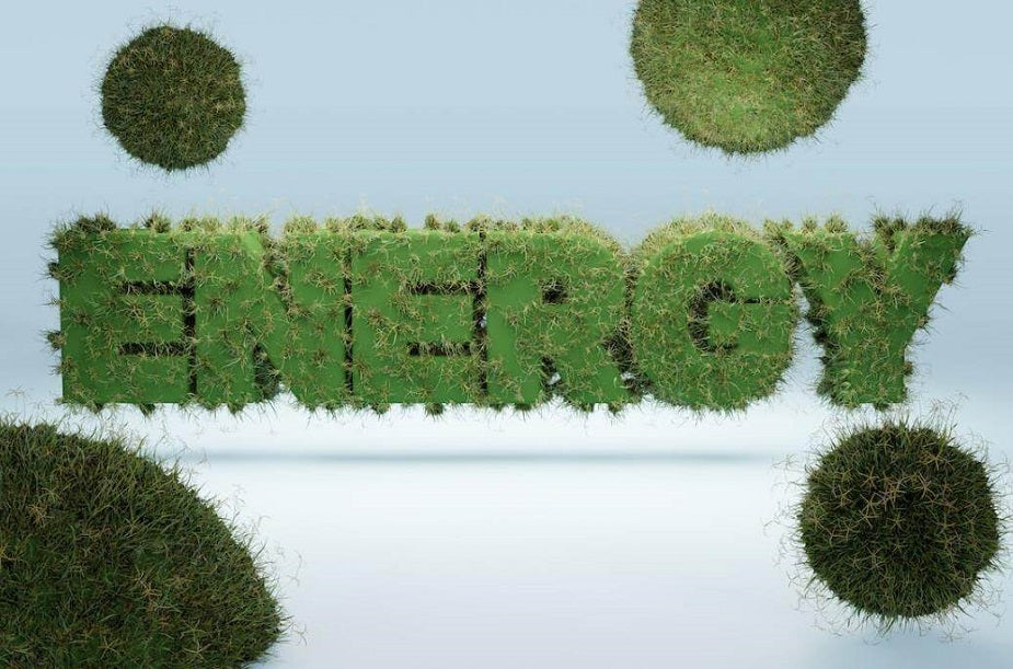 What Are Examples Of Renewable Energy?